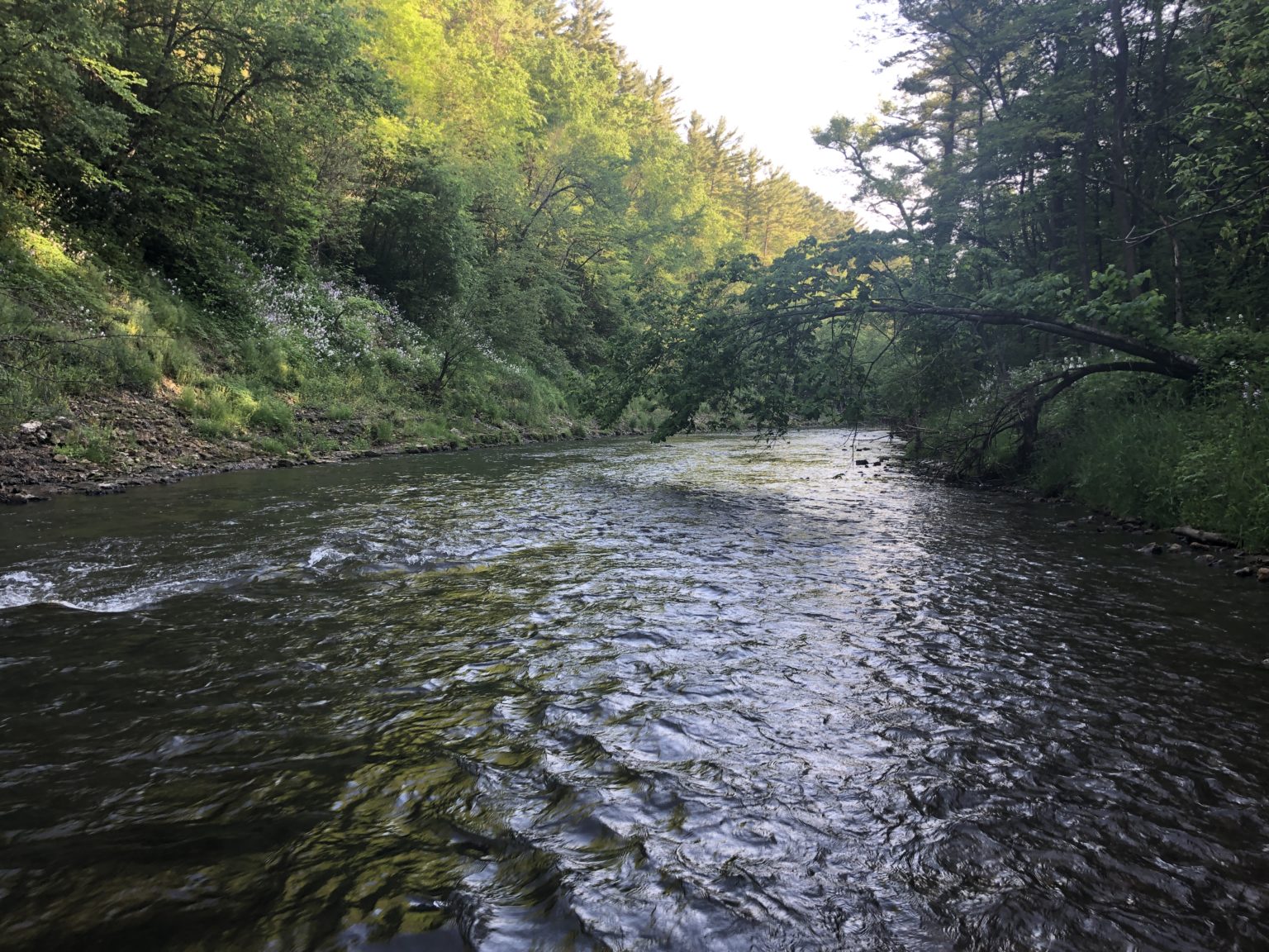 Fly Fishing on The Kinnickinnic River – Beich Life
