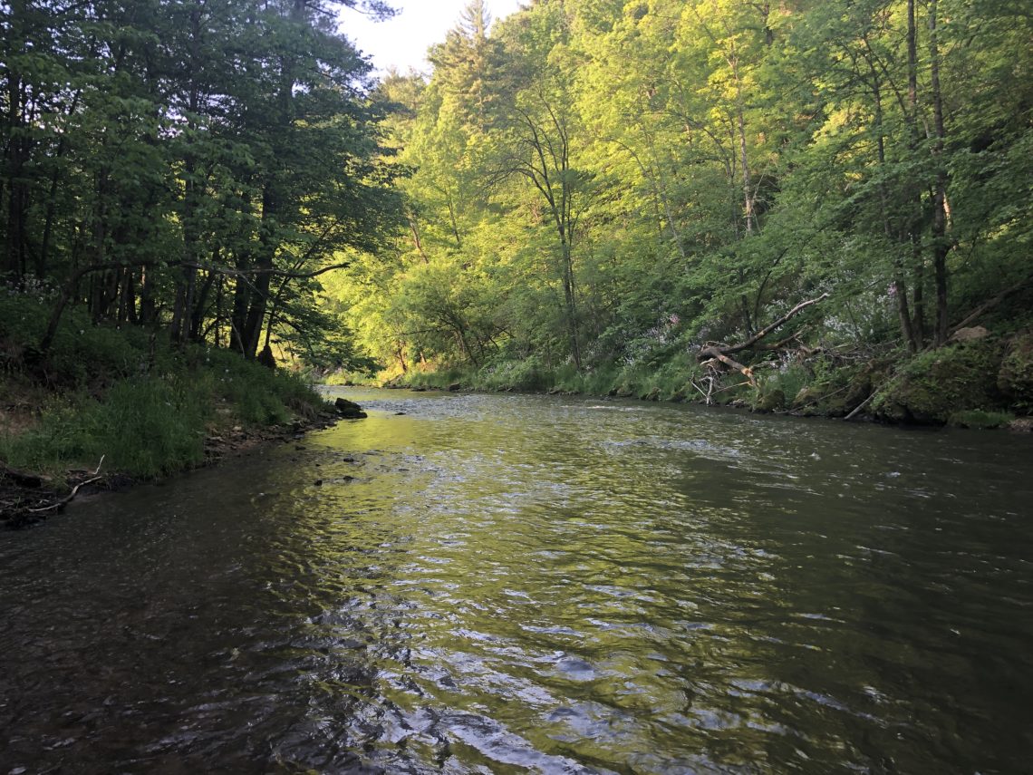 Fly Fishing on The Kinnickinnic River – Beich Life